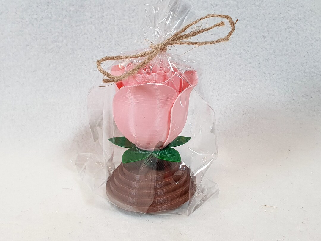 Rose on a Base in Your Desired Color the Eternal Rose for Valentine's ...
