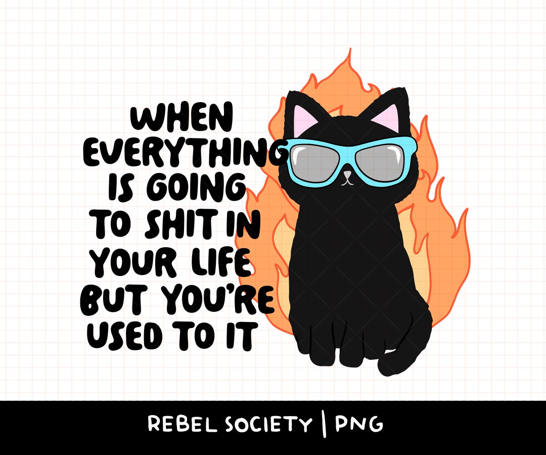 Cool Cat PNG Trying to Get My Shit Together PNG Black Cat Trendy ...