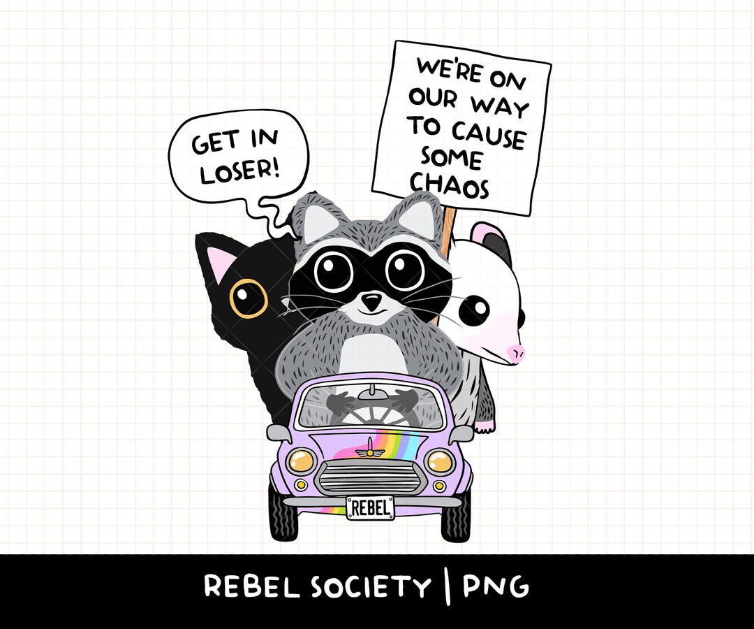 Get in Loser We're Causing Chaos Raccoon Black Cat Opossum PNG Support ...