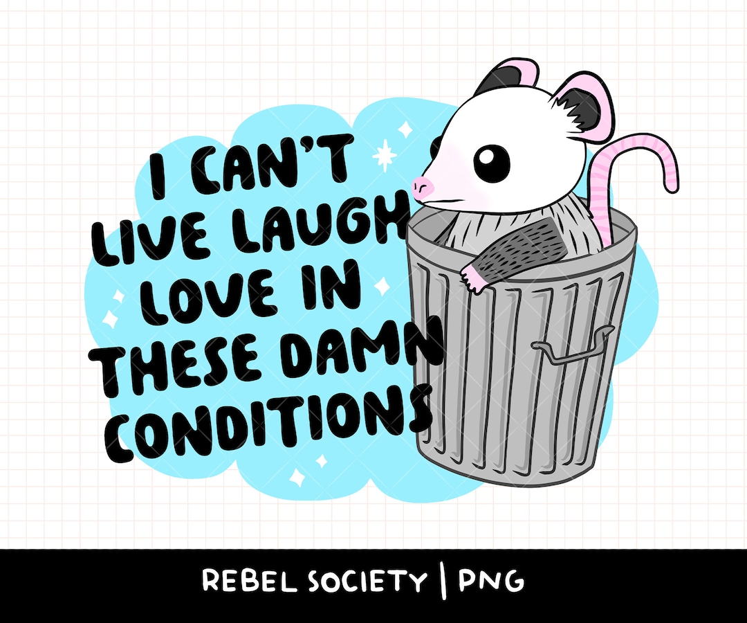 I Can't Live Laugh Love in These Damn Conditions PNG Cute Opossum ...