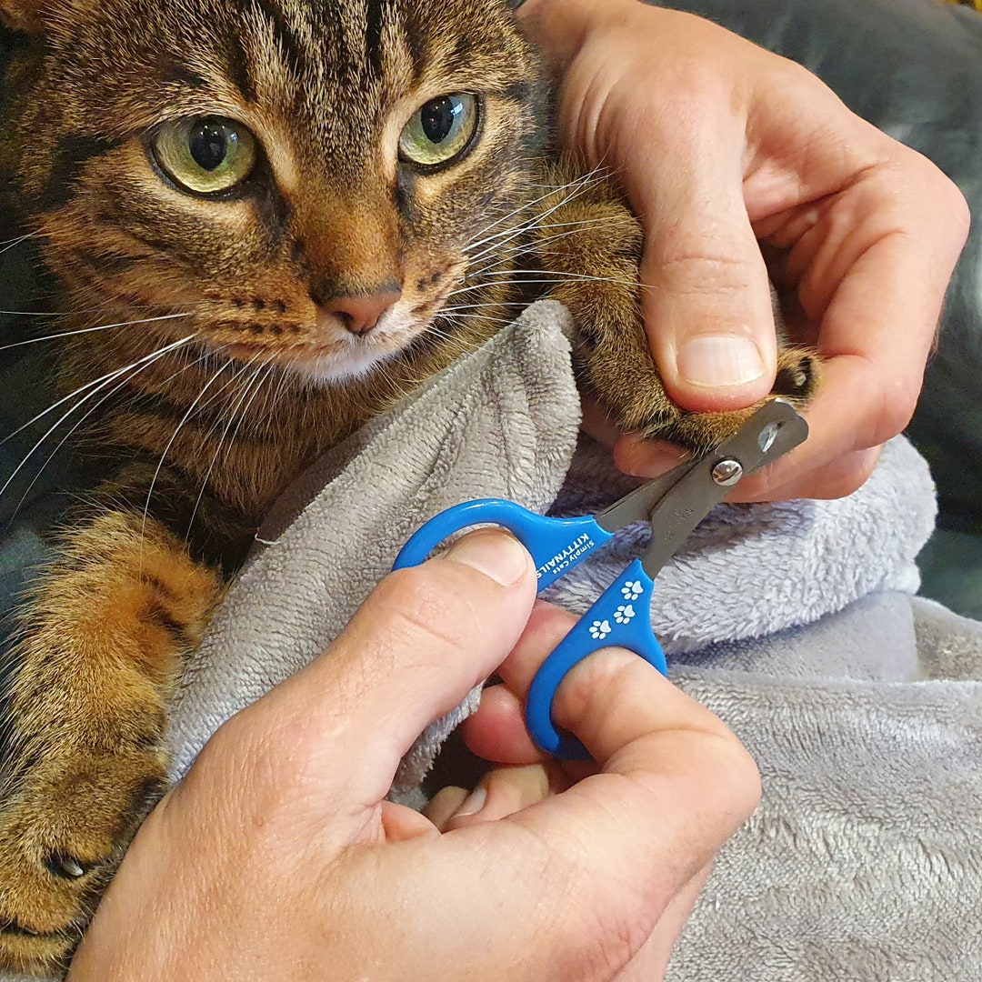 KITTYNAILS Vet-designed Cat Nail Clippers Safe, Sharp and Sturdy ...