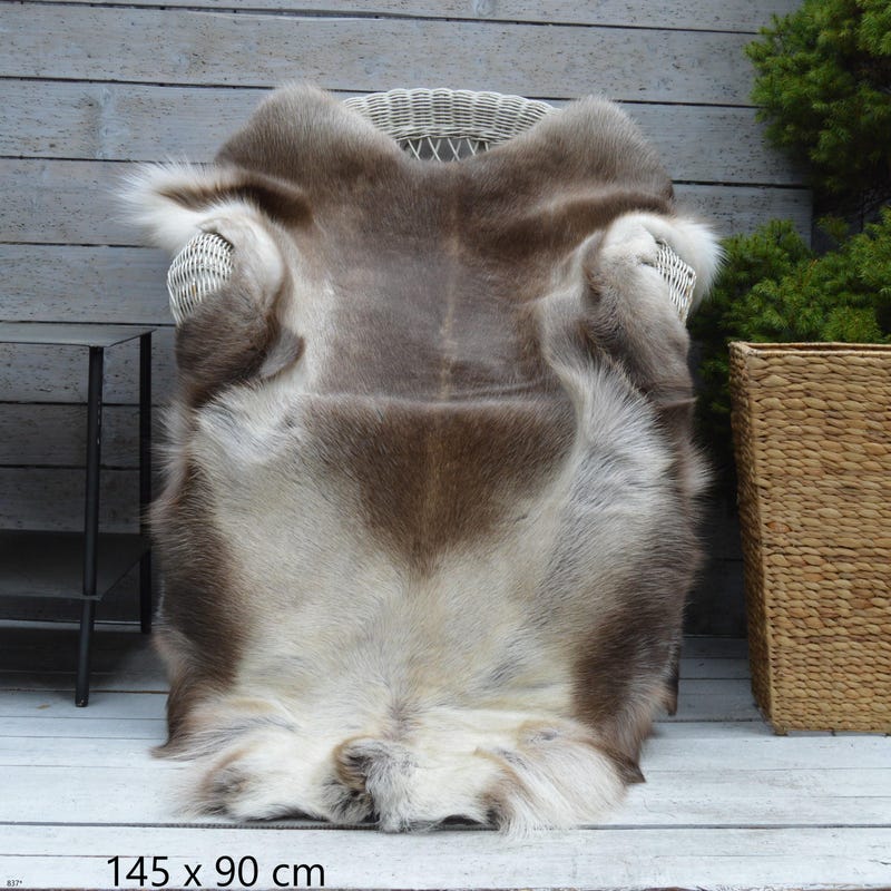 Real Bear Skin Rug - Etsy