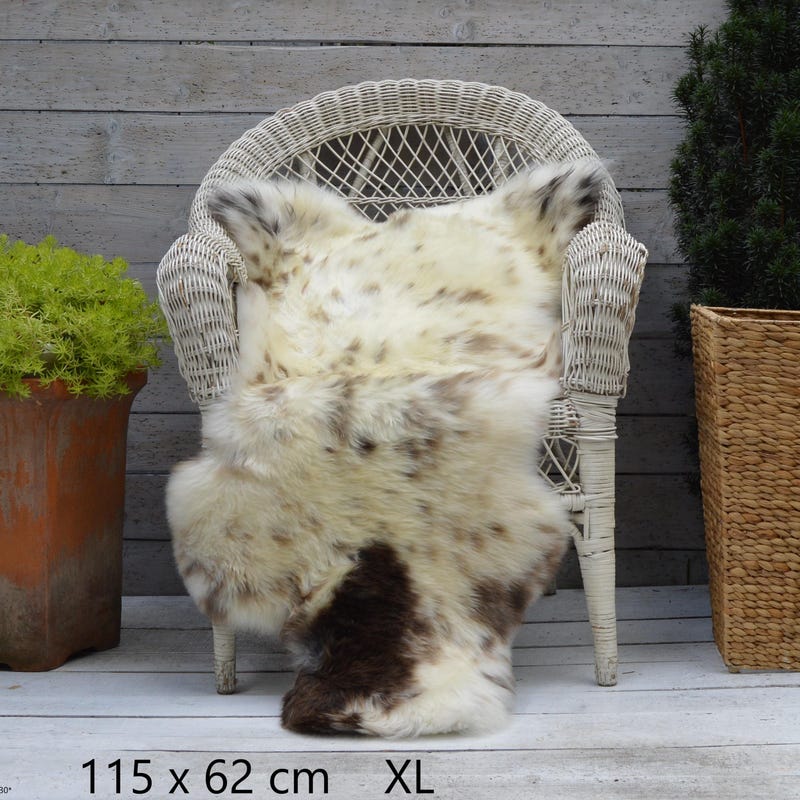 The Cow Pelt - Etsy