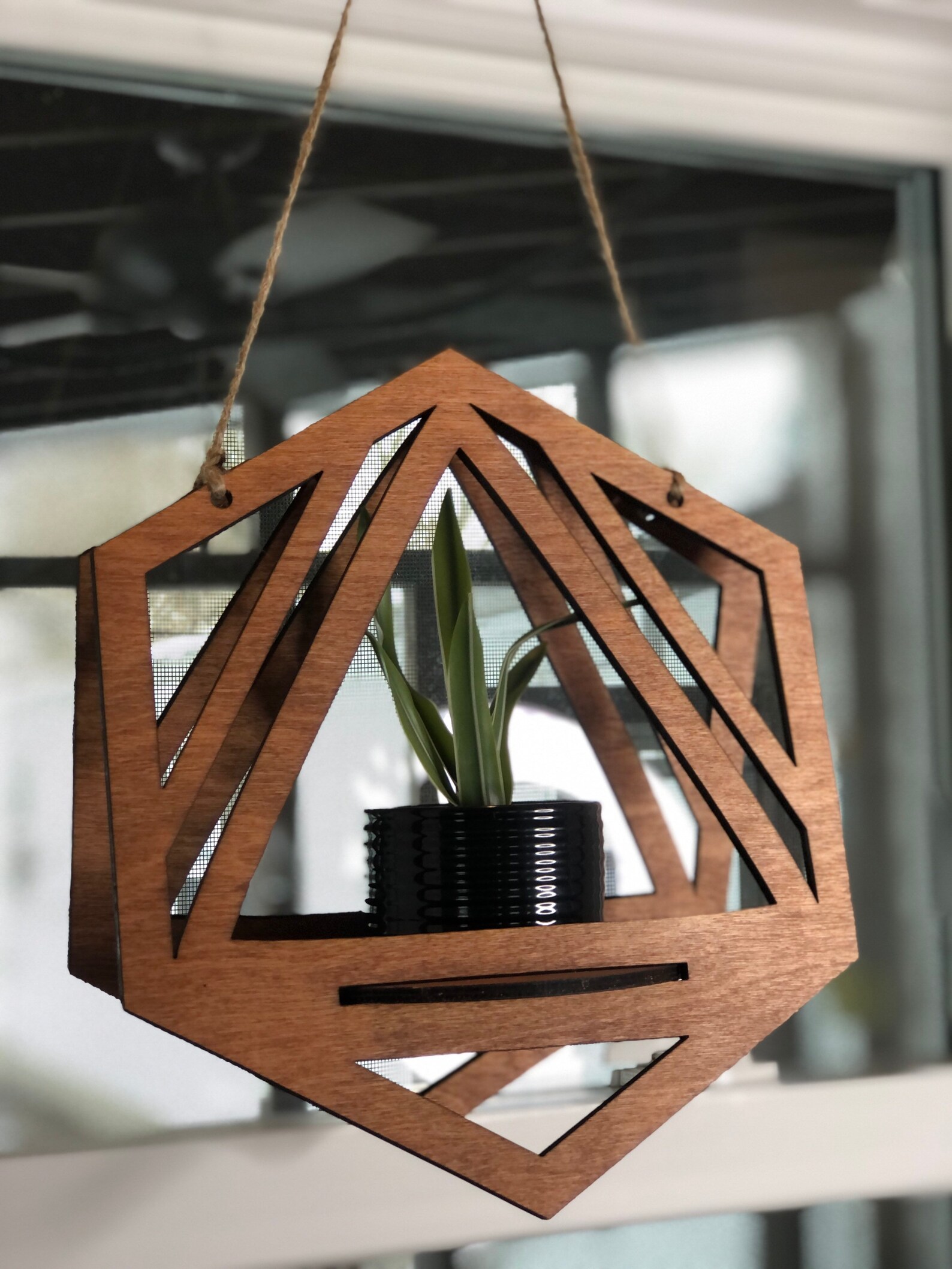 Hanging Plant Holder for Small Plants or Succulents Gift for - Etsy