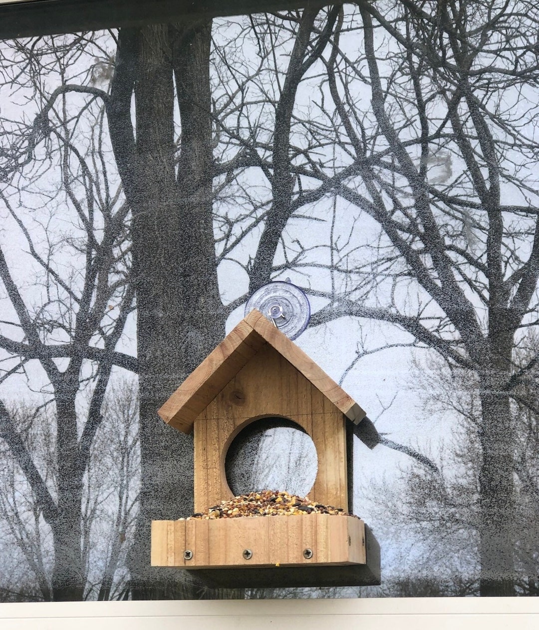 Window Bird Feeder Kit - DIY Bird Feeder - Make Your Own Backyard Bird ...