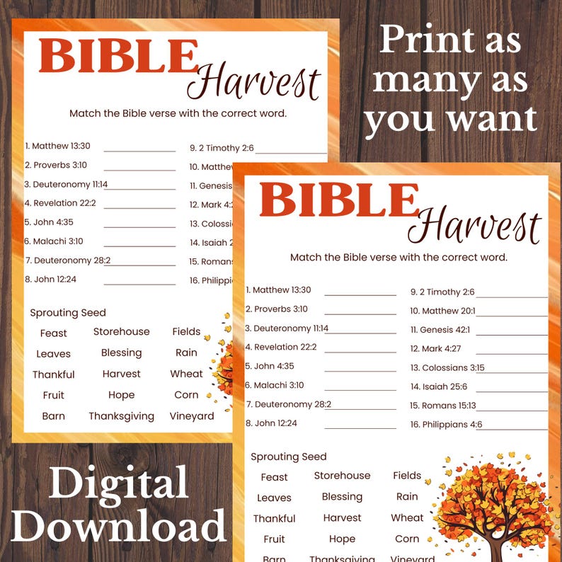 Fall Bible Harvest Match Game, Sunday School Activity (PDF) - Etsy