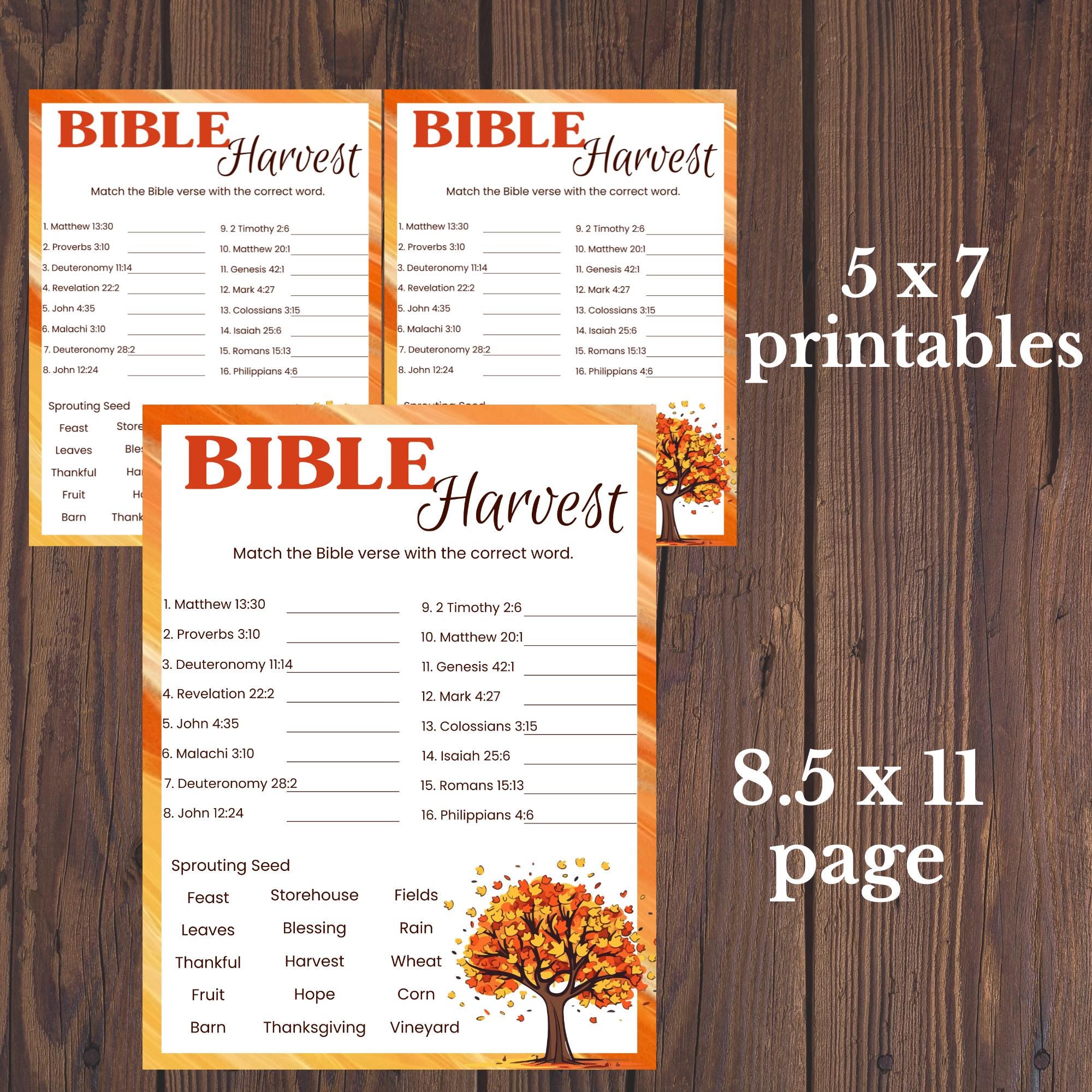 Fall Bible Harvest Match Game, Sunday School Activity (PDF) - Etsy