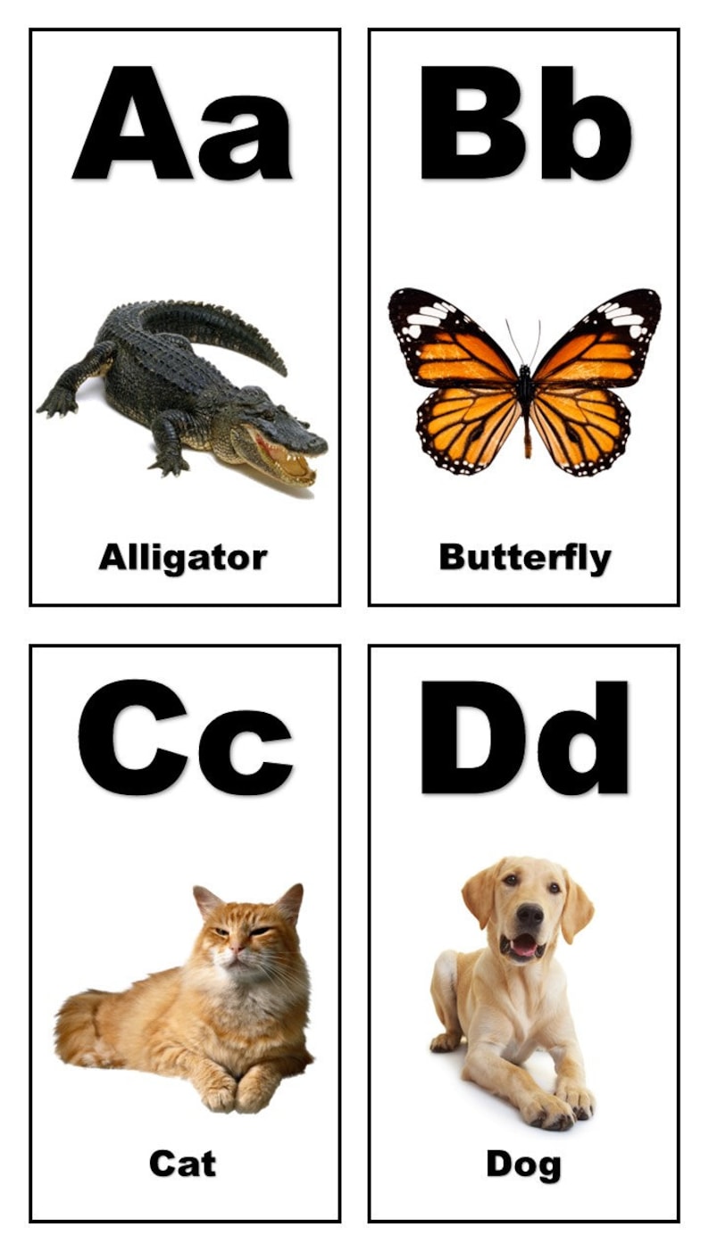 Animal Alphabet Flash Cards - Printable - Etsy