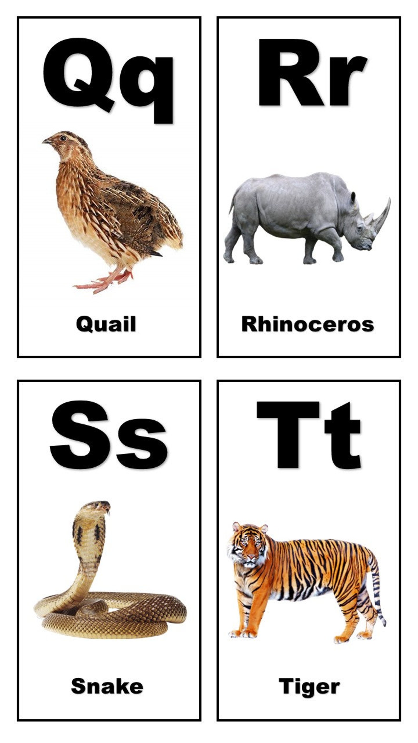 Animal Alphabet Flash Cards - Printable - Etsy