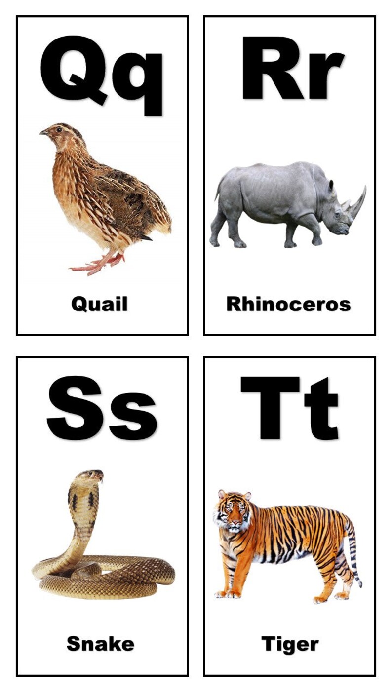Animal Alphabet Flash Cards - Printable - Etsy