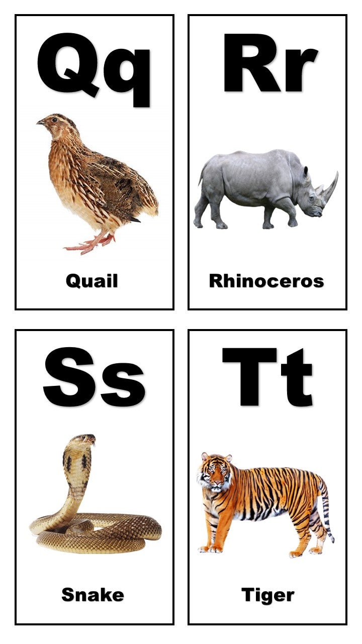 Animal Alphabet Flash Cards - Printable - Etsy