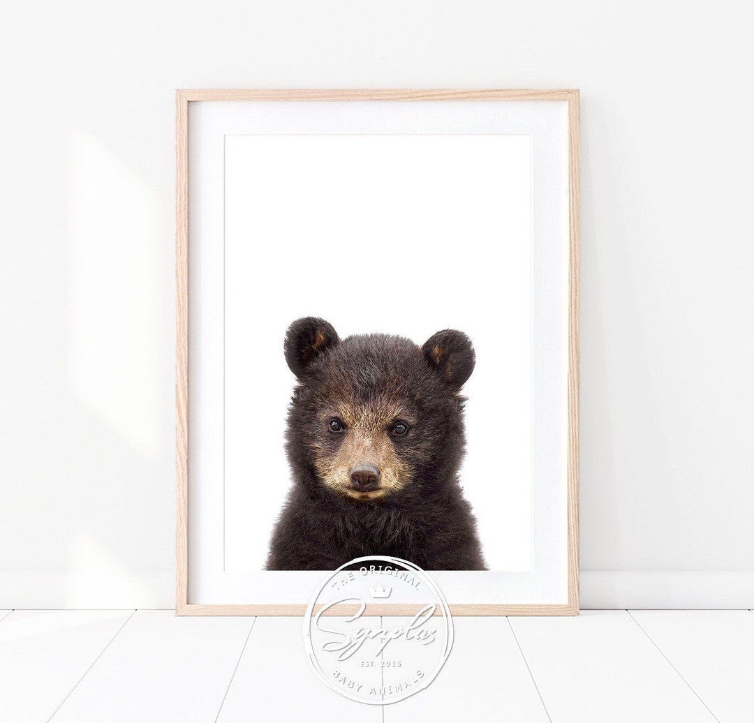 Bear Cub Print, Baby Animals Art Prints by Synplus, Baby Bear Print ...