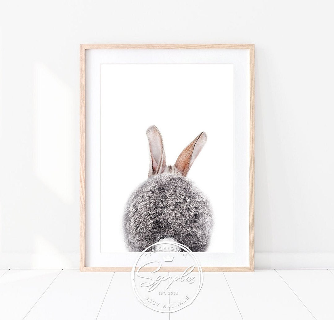 Baby Rabbit Tail Print, Bunny Print, Baby Animals Art by Synplus ...