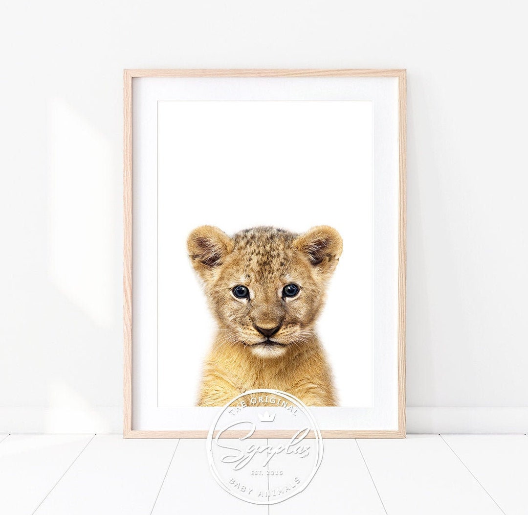 Baby Lion Print, Lion Cub Art Print, Baby Animals Art Print by Synplus ...