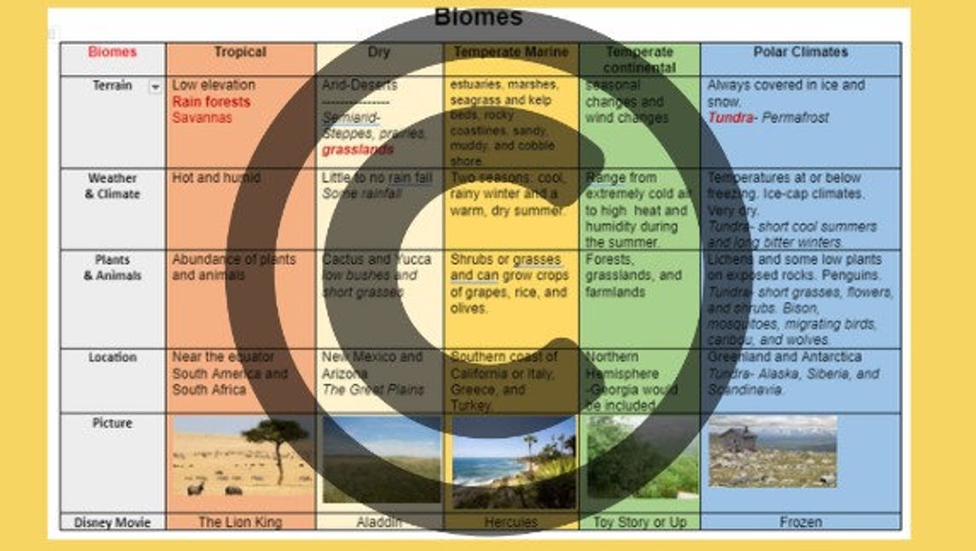 Biomes Graphic Organizers - Etsy