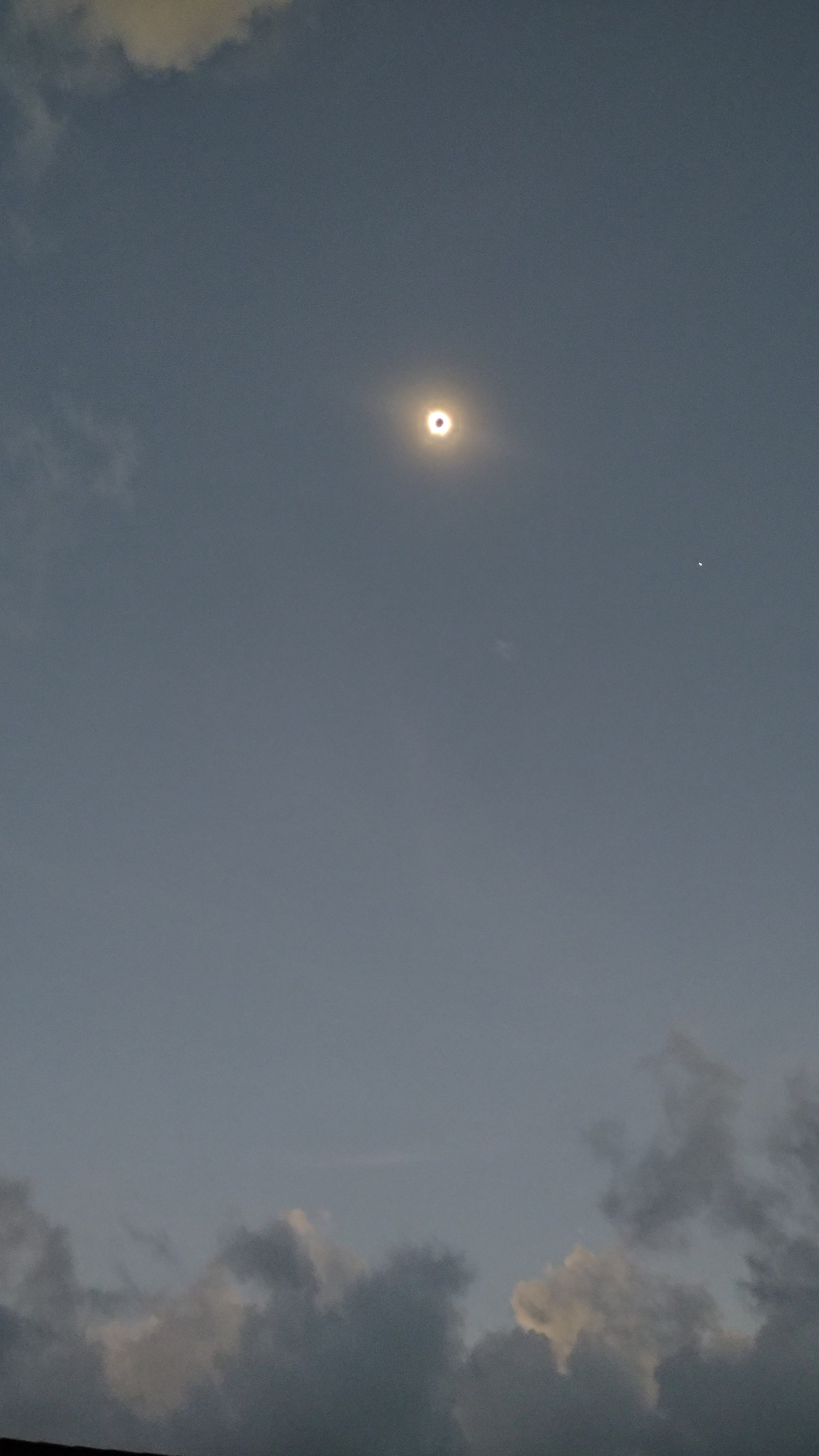 Total Solar Eclipse Burn Wand/wedding Bouquetbotanical Wand With ...