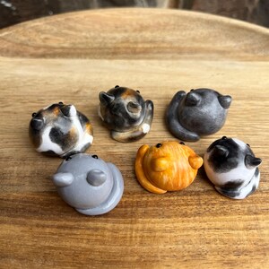 Bubble Cats/miniature Cats/cat Desk Buddies/cute Trinkets/cat Lover ...