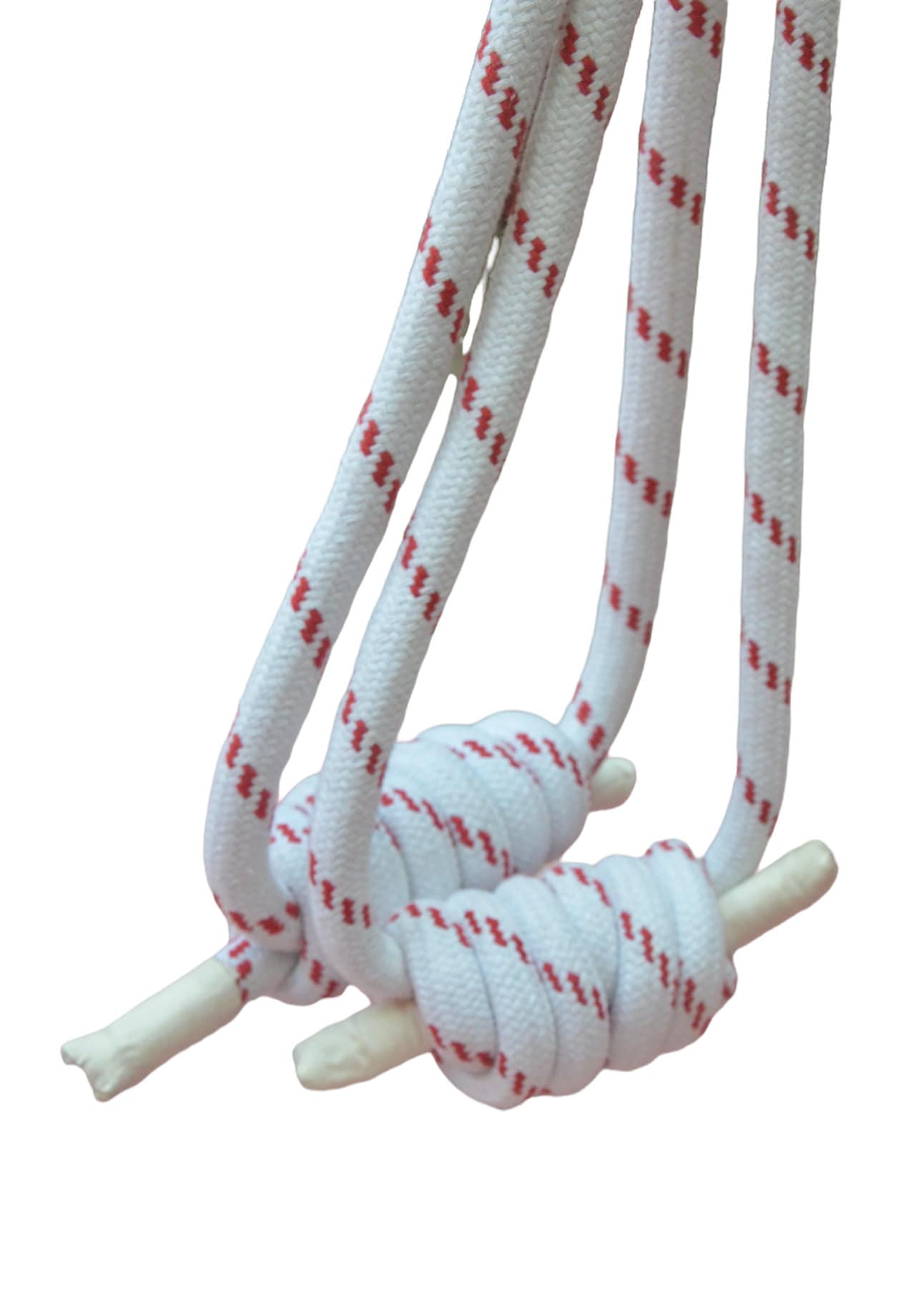 Iyengar Yoga Wall Ropes set of 12 Ropes-2 Long 2 Small, Yoga Ropes for ...