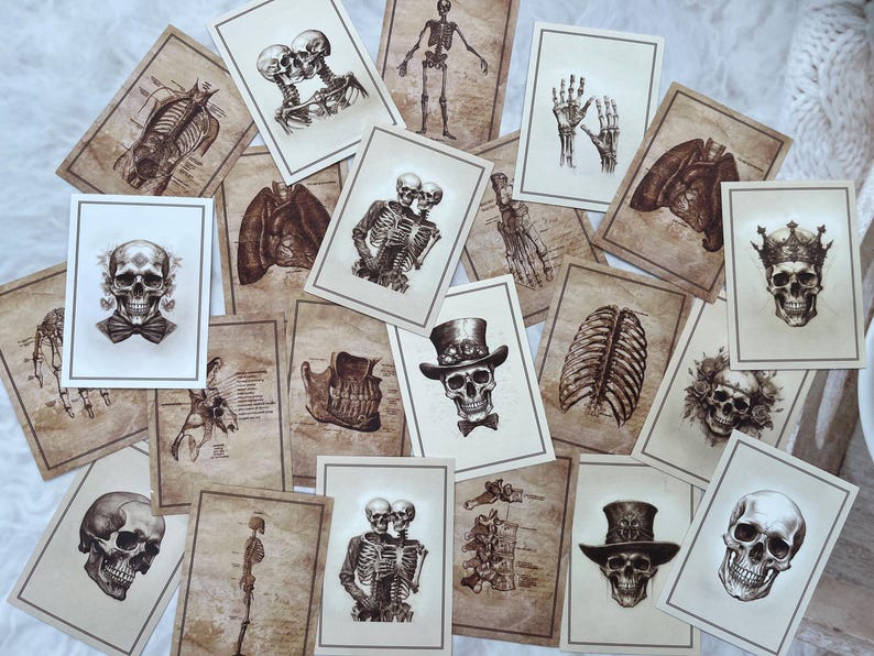 Vintage Anatomy Skeleton Sticker Pack: Halloween Decals for Journals - Etsy