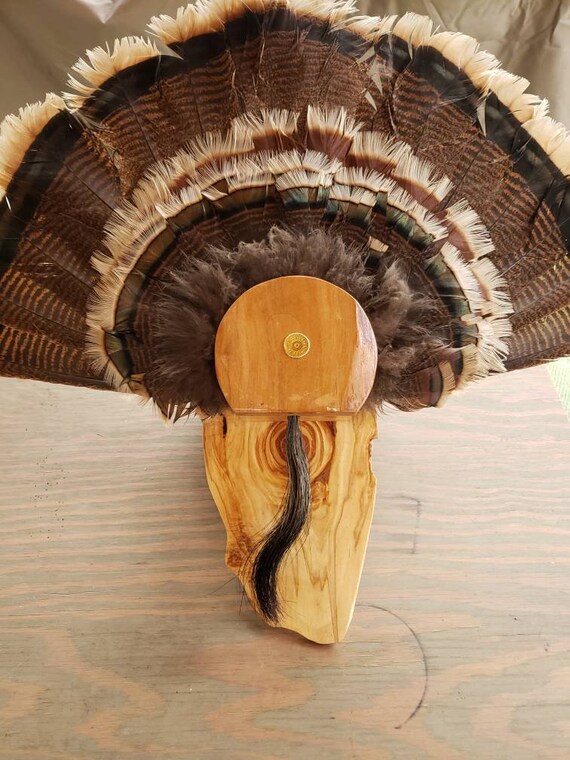 Turkey Fan and Beard Mount Turkey Fan Mount Animal Mount - Etsy