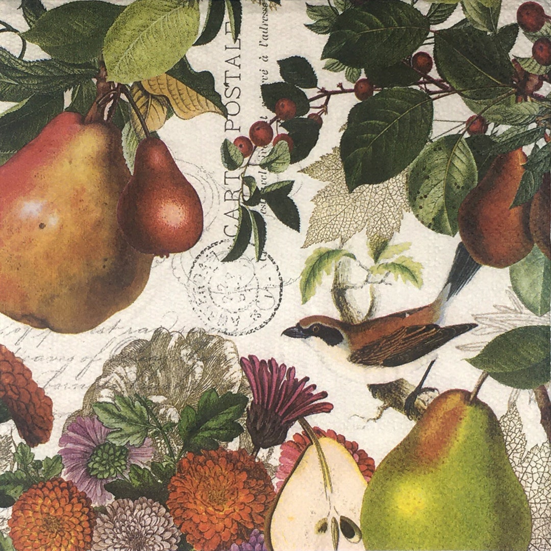4 Pears and Bird Paper Lunch Napkin - DECOUPAGE NAPKINS - Etsy
