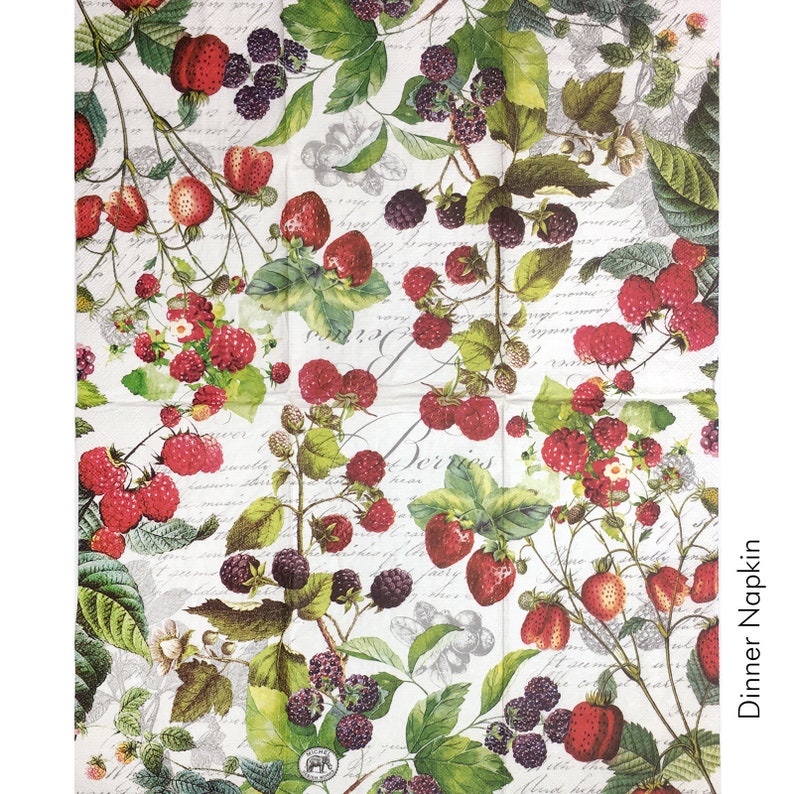 4 Berries Fruit - Strawberries - Black Current - Raspberries Lunch ...