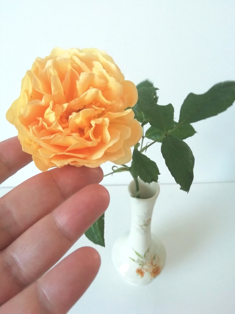 Melba Ware Vase Narcissus Daffodil 1970s Vintage Floral Vase Stem Vase ...