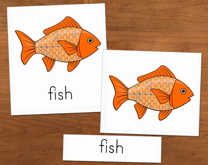 Mobilemontessori.org, Montessori 3 Part Cards: Fish, Parts of Animals ...