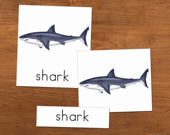 Mobilemontessori.org Montessori 3 Part Cards: Parts of a Crocodile ...