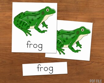 Mobilemontessori.org Montessori 3 Part Cards: Fish Parts of - Etsy