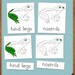 Mobilemontessori.org ,montessori 3 Part Cards: Frog Parts, Parts of ...