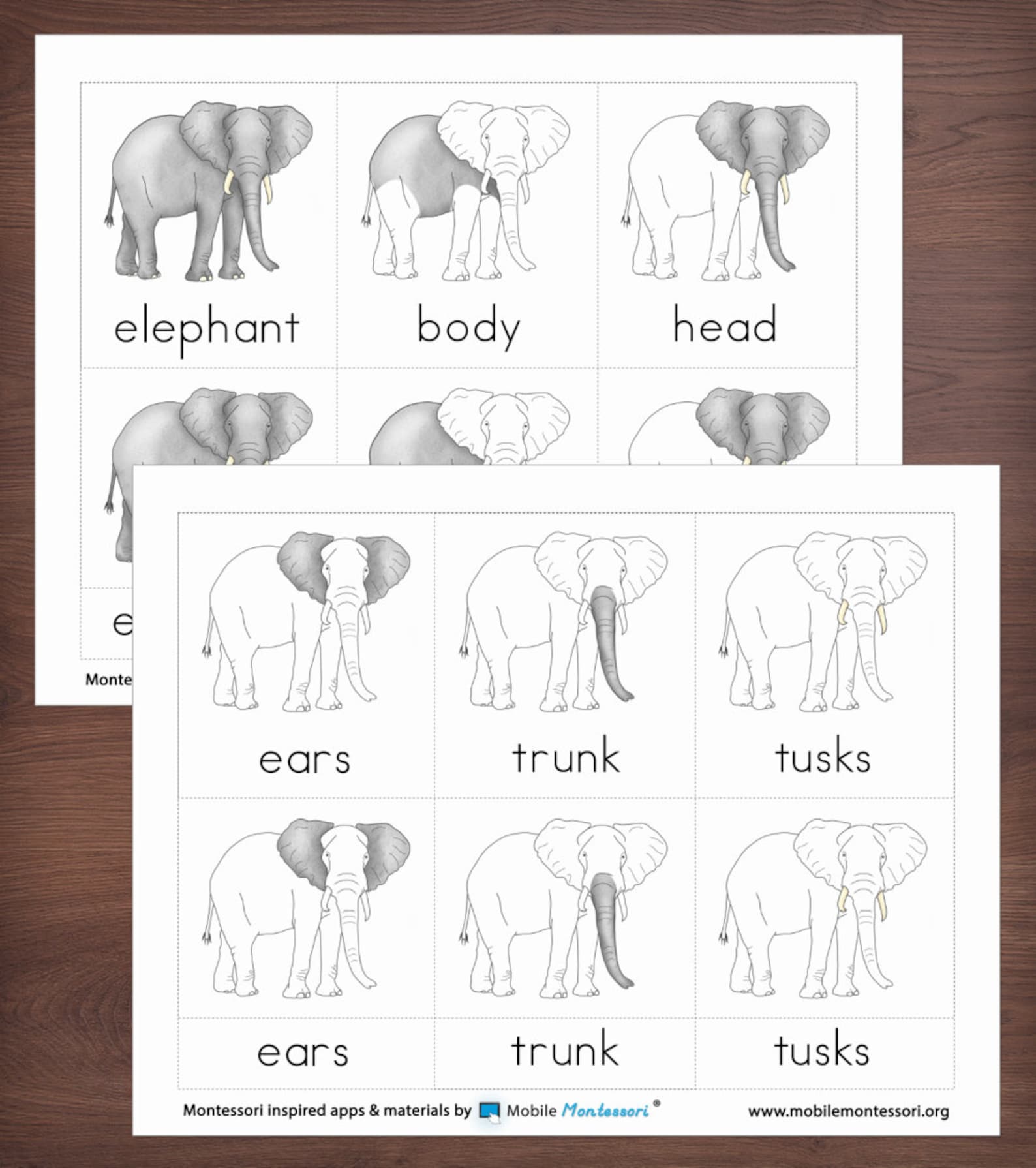 Montessori 3 Part Cards: Elephant Parts Parts of Animals - Etsy