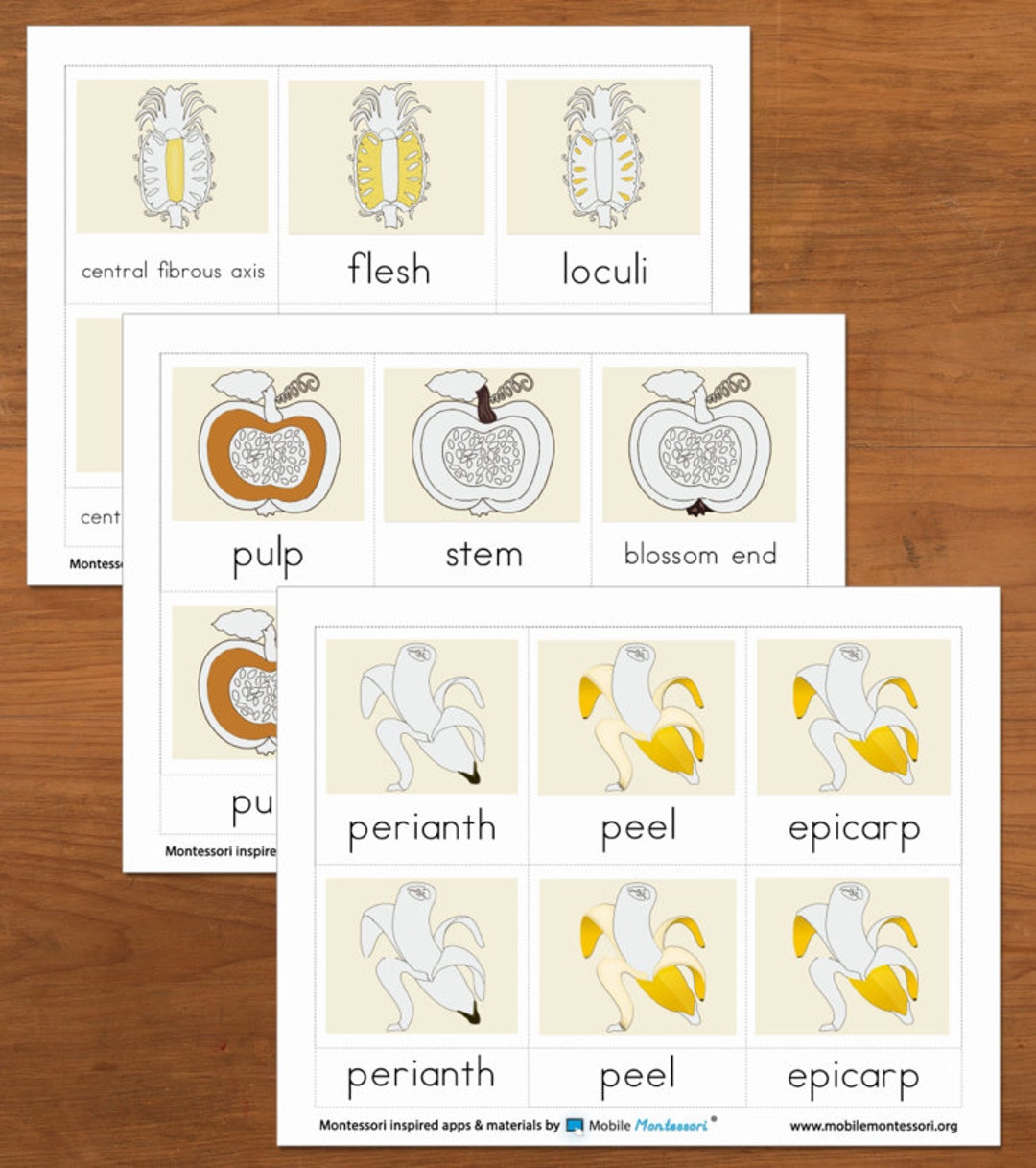 Mobliemontessori.org ,montessori 3 Part Cards: Parts of Fruits ...