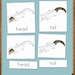 Mobilemontessori.org Montessori 3 Part Cards: Parts of a Crocodile ...