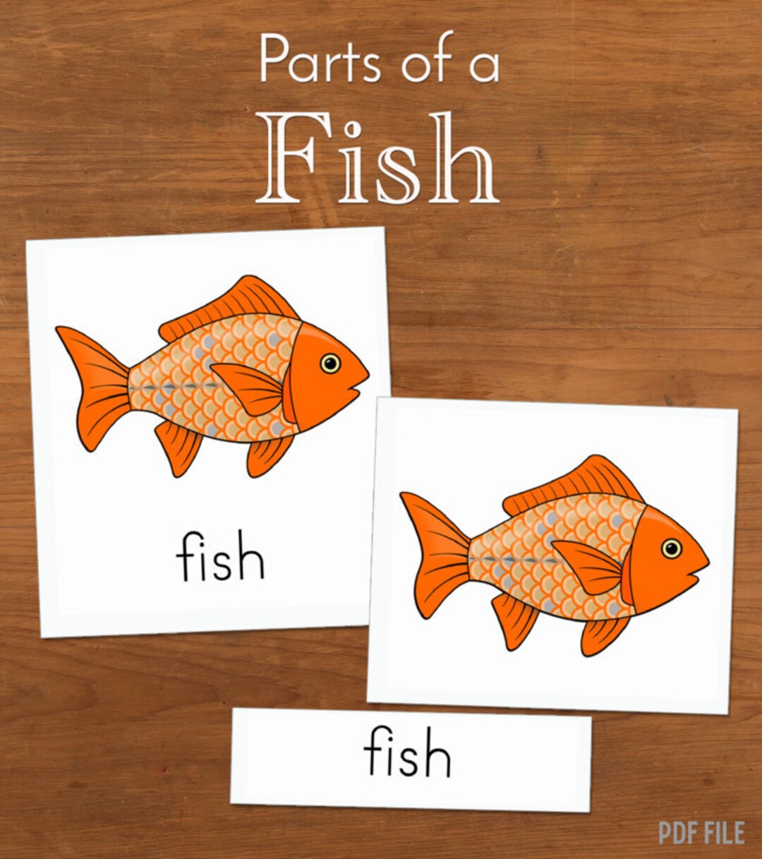 Mobilemontessori.org, Montessori 3 Part Cards: Fish, Parts of Animals ...