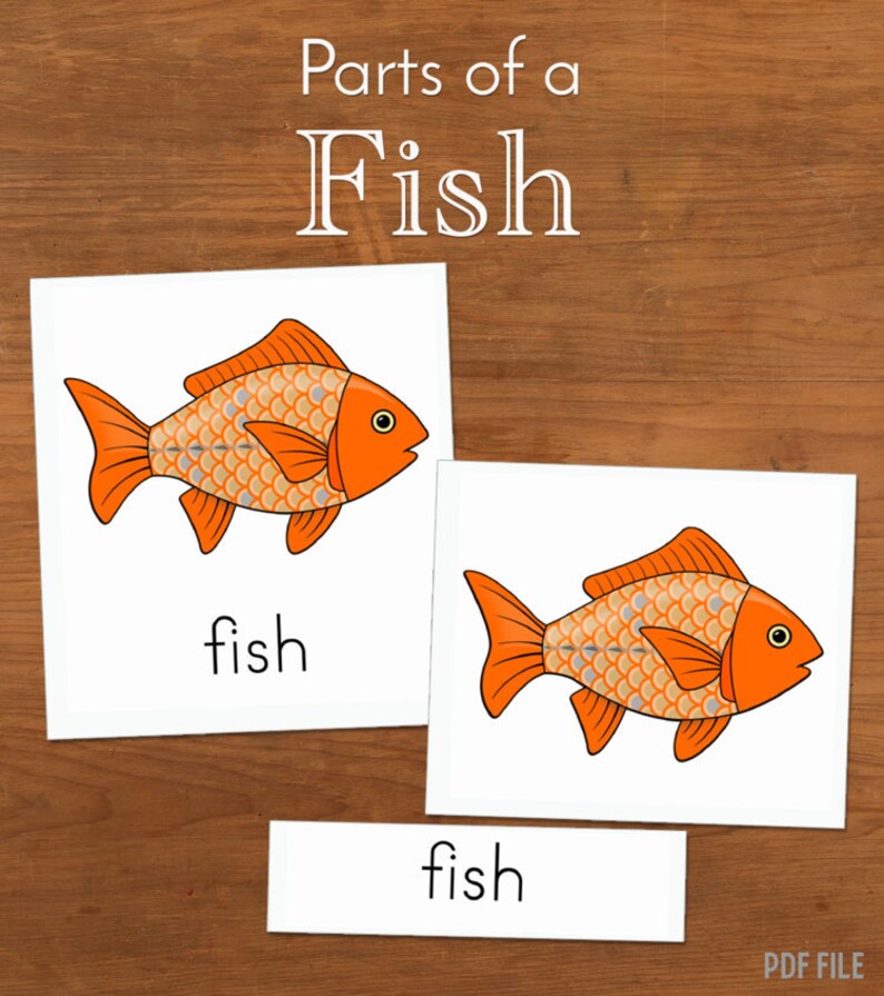 Mobilemontessori.org, Montessori 3 Part Cards: Fish, Parts of Animals ...