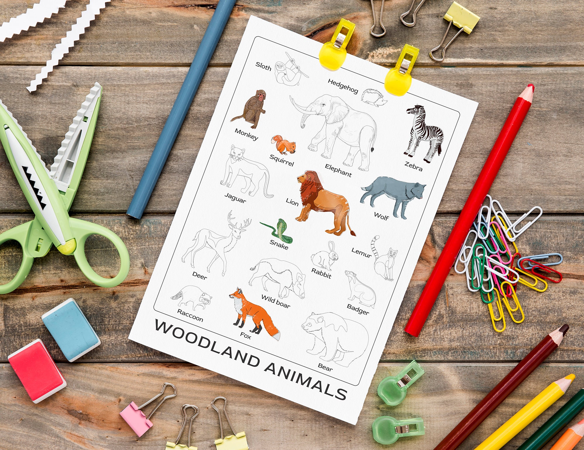 Woodland Animals Matching Half Cards N Posters. Printable, Kid Coloring ...