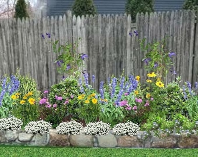 Landscape Design Zone 8 Front Yard Partial Sun Full Sun Evergreen Yard ...