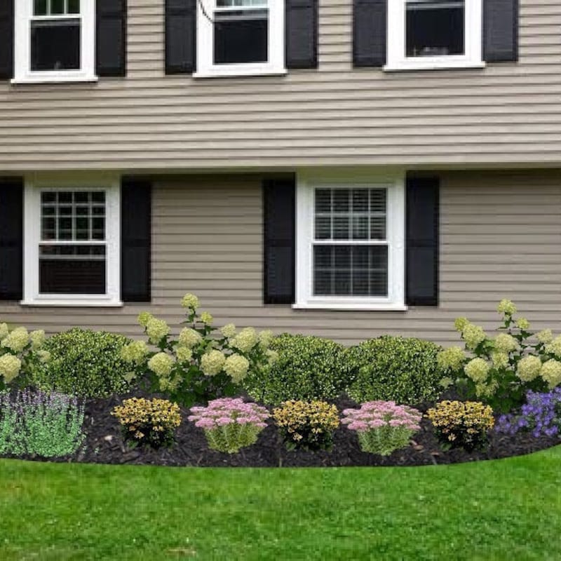 Zone 8 Front Yard Landscape - Etsy