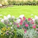 Landscape Design Plan for Sunny Flower Border - Etsy