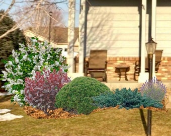 Landscape Design Plan for Full Shade Border Garden - Etsy