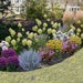 Landscape Design Plan for Butterfly Garden - Etsy