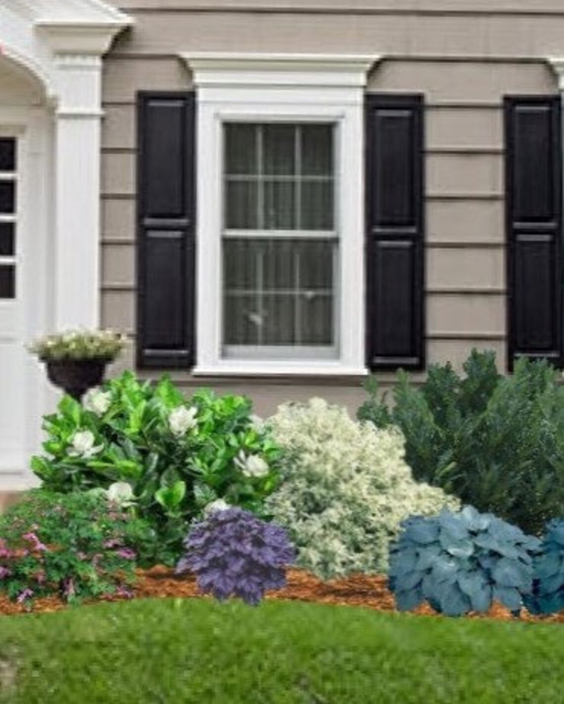 Landscape Design Plan for Foundation Planting ‘the Kingston’ - Etsy