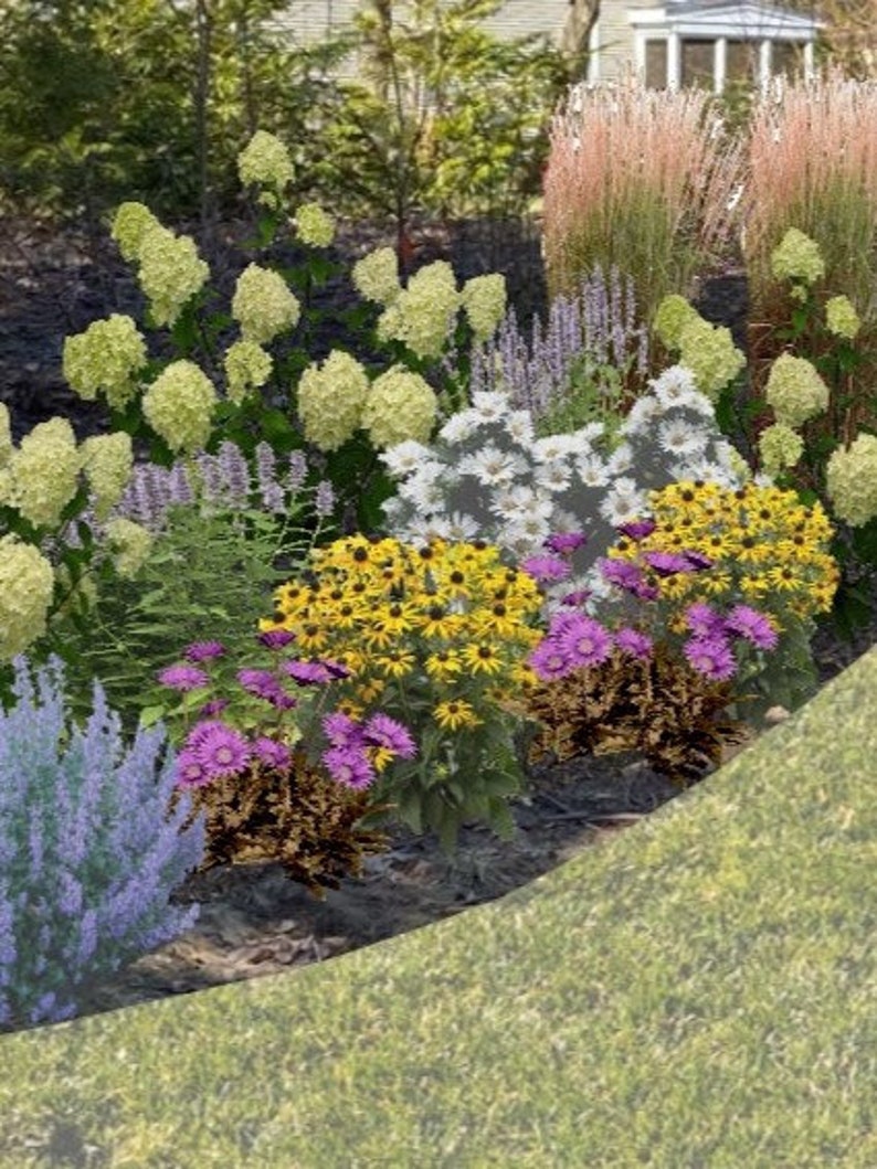 Landscape Design Plan for Butterfly Garden - Etsy