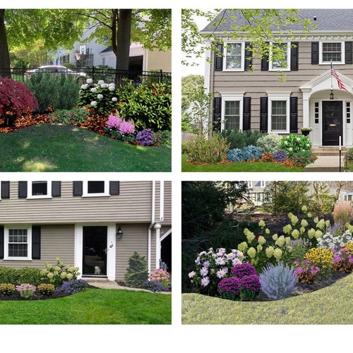 Landscape Design Plan for Foundation Planting the Newbury - Etsy