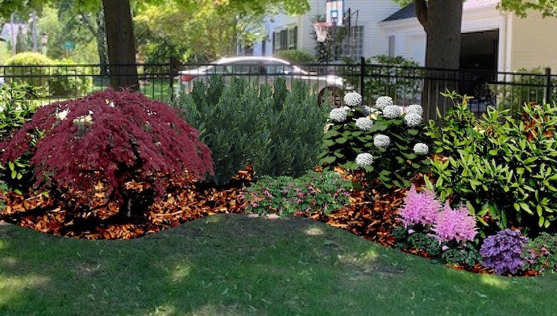 Landscape Design Plan for Full Shade Border Garden - Etsy
