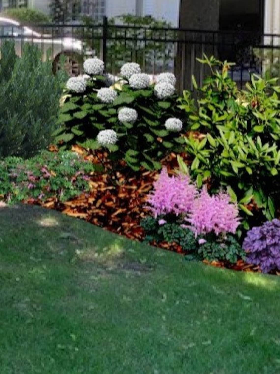 Landscape Design Plan for Full Shade Border Garden - Etsy