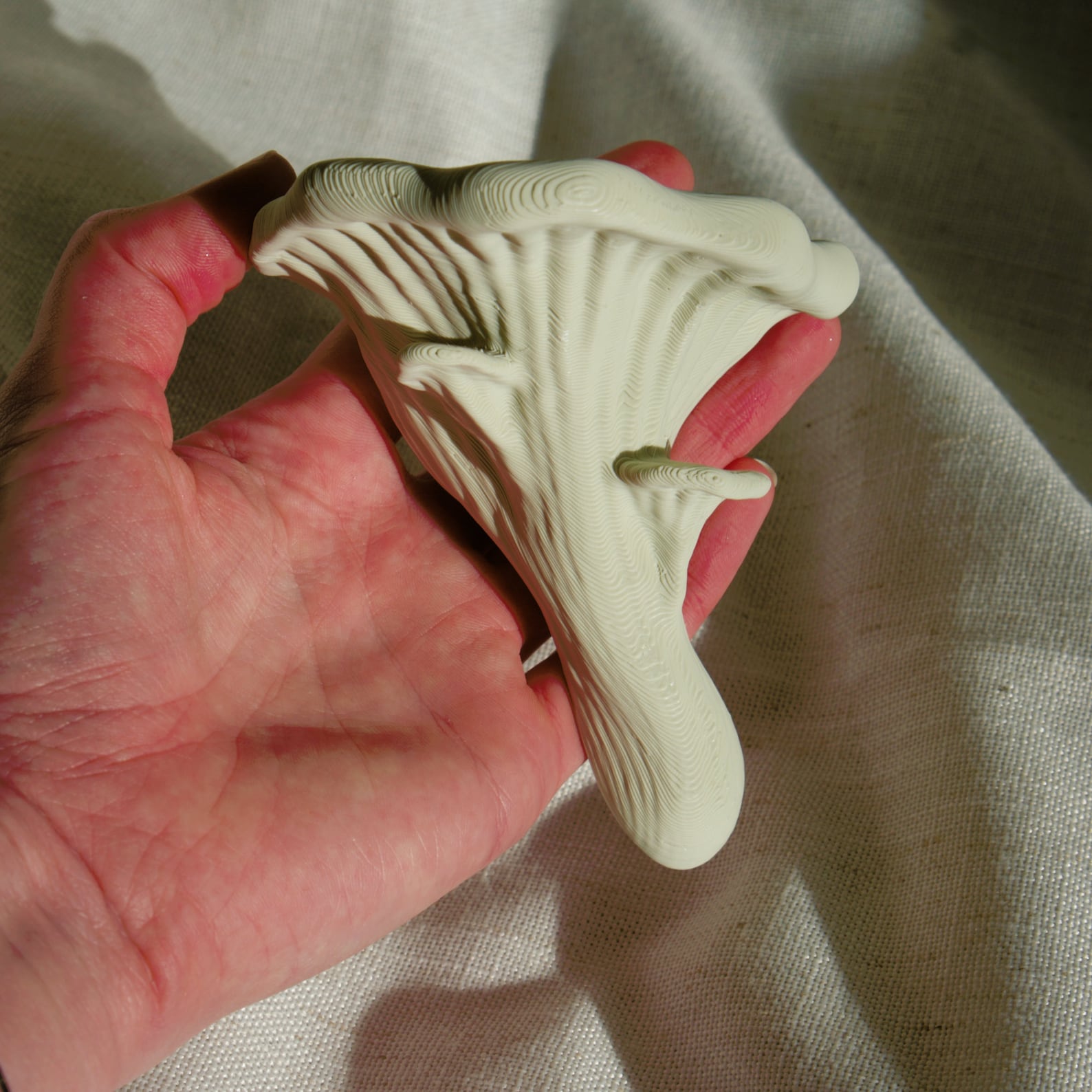 Mushroom Shelves Mushroom Shelf Wall Decor Mushroom Display - Etsy UK