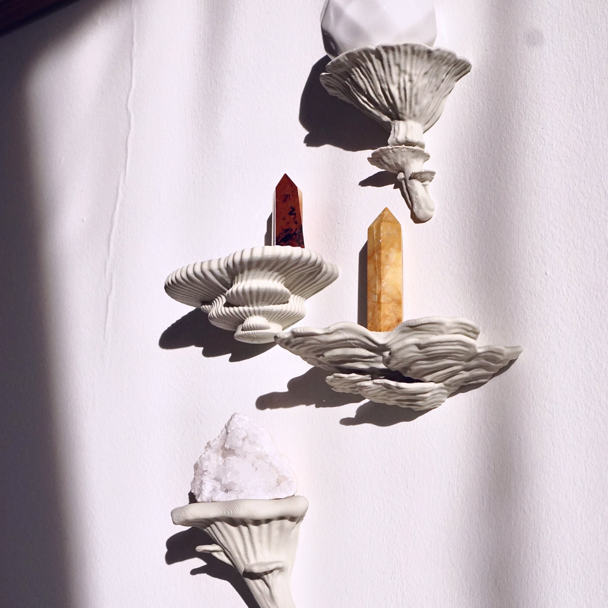 Mushroom Shelves Mushroom Shelf Wall Decor Mushroom Display - Etsy UK