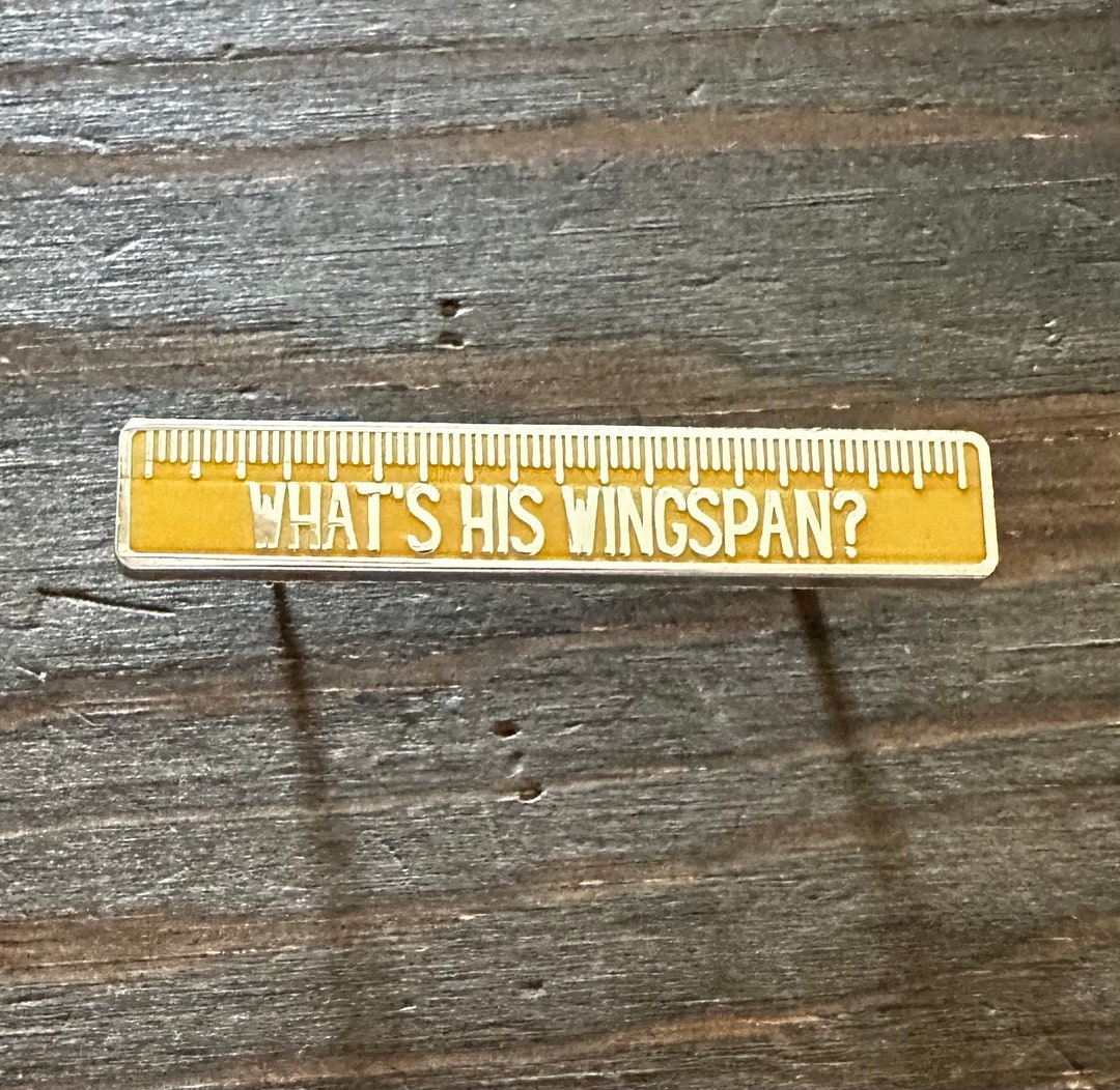 Enamel Pin - ACOTAR What’s His Wingspan? Ruler Enamel Pin (officially ...